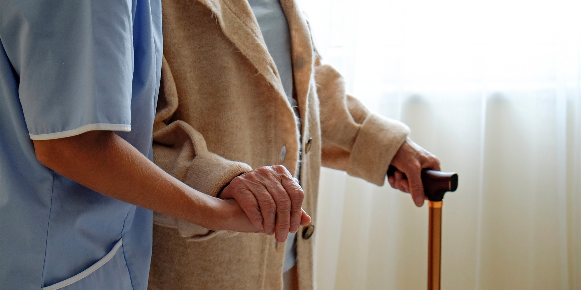 Functional Status Assessment of Seniors in the Emergency Department ...